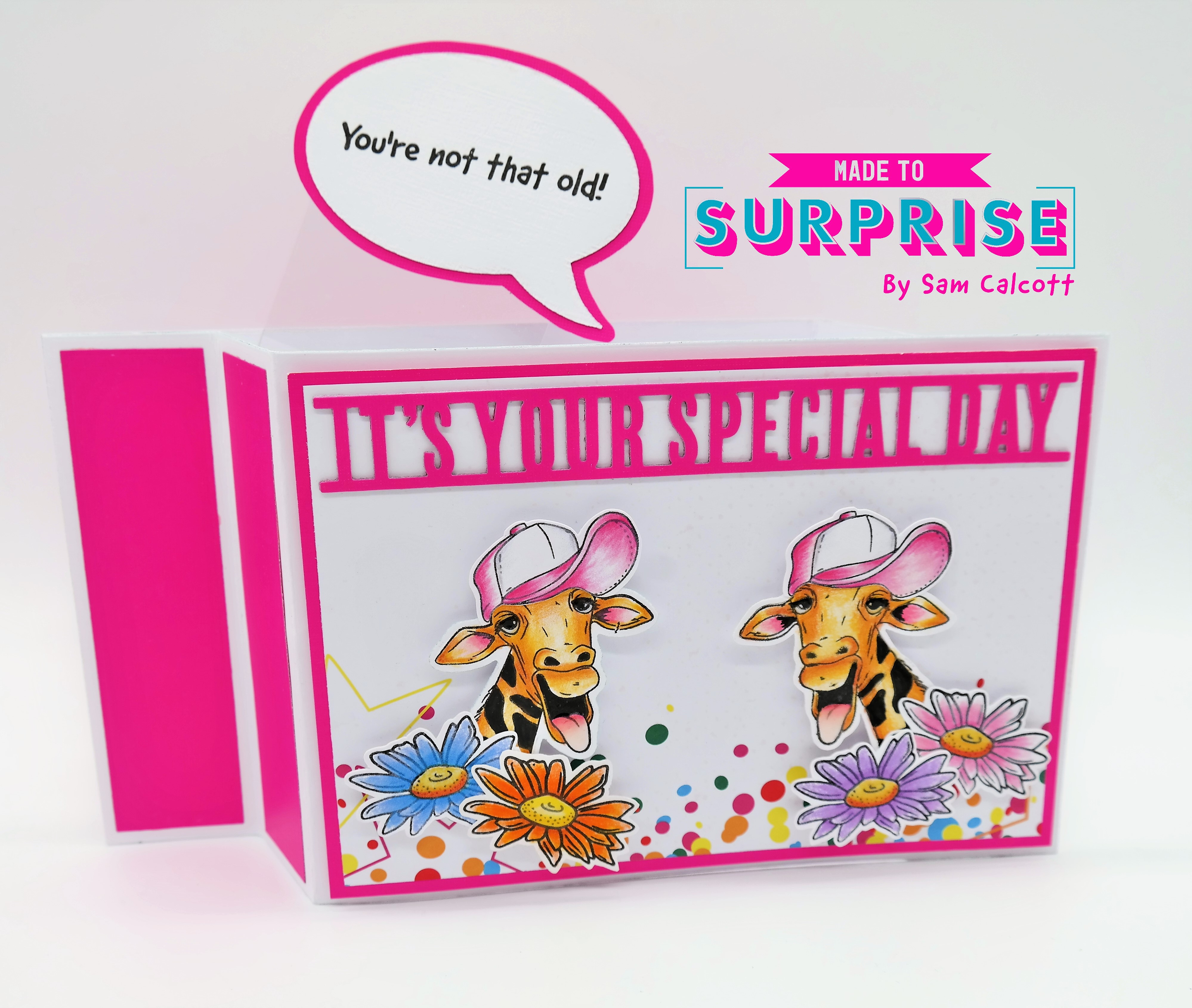 sam calcott – MIXED UP CRAFT